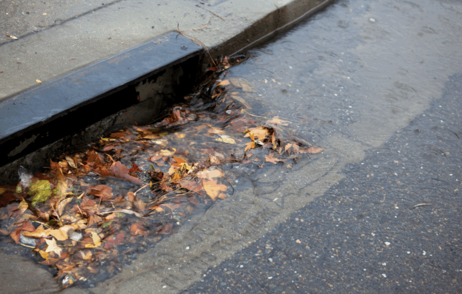 Guide to Storm Drain Lining- Advantage Reline
